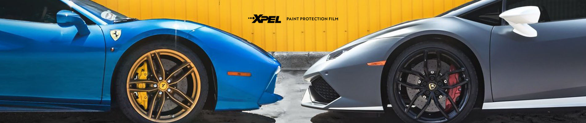 XPEL Paint Protection Film – Avid Wholesale